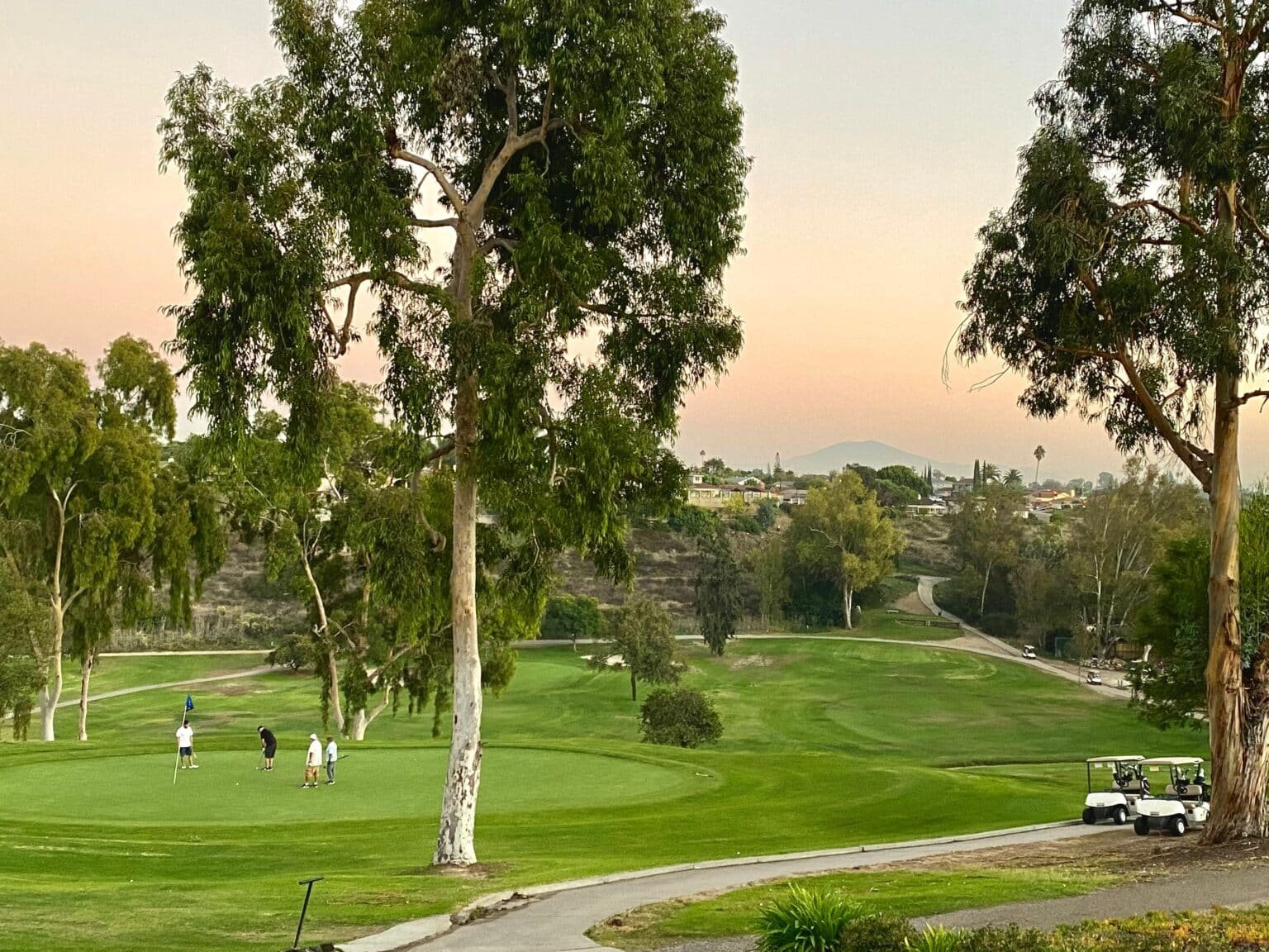 Golf Cart Path Repair Near Me | Dallas Fort Worth FoamWorks